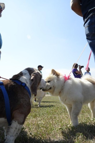City of Crete Nebraska - Crete Waggin' Tail Dog Park